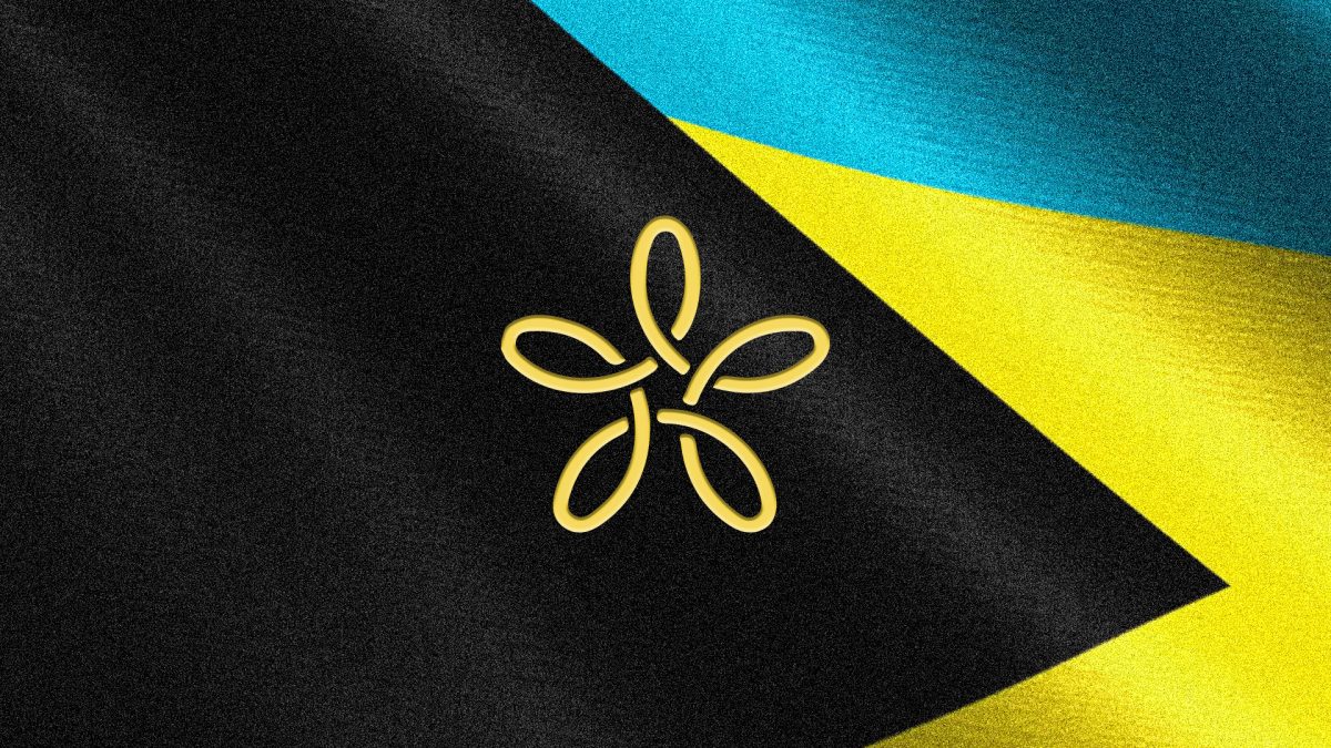 Here's what happened when I tried to use the Bahamian Sand Dollar | The ...